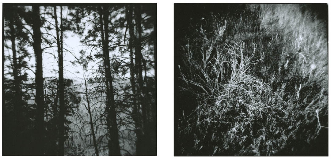 Photography – Jamie Hahn